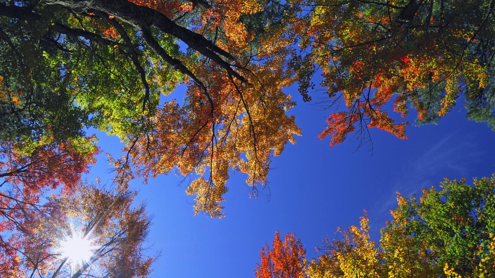 30-Tage-Wettervorhersage (18.09.2017): Ist da ein goldener Oktober in ... 30-Tage-Wettervorhersage (18.09.2017): Ist da ein goldener Oktober in ...