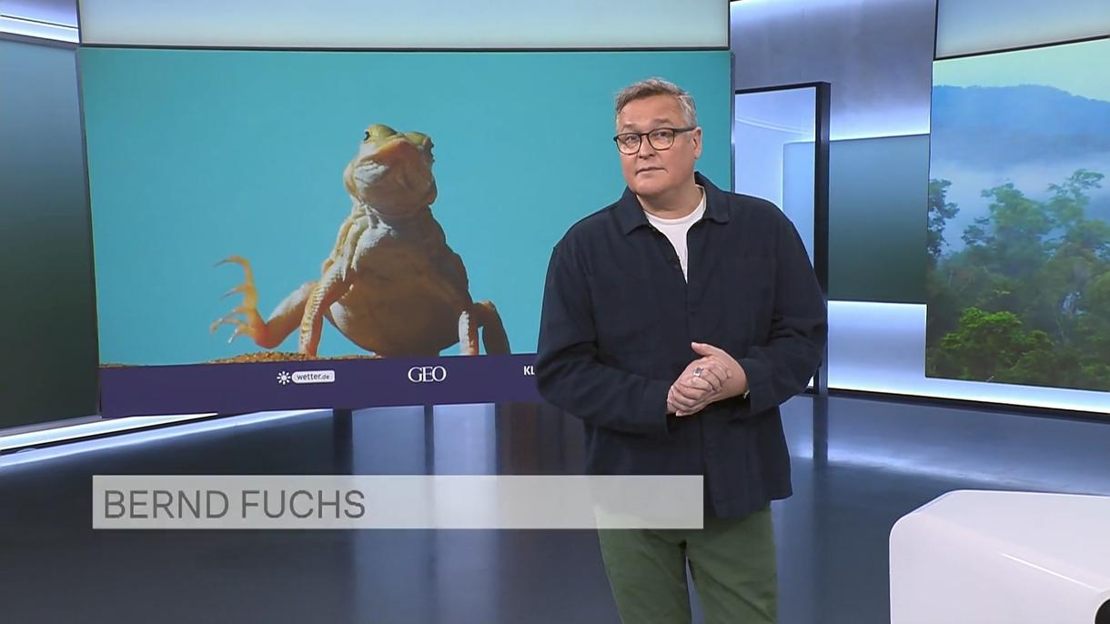 Wetter Herne heute ☀ Vorhersage 14 - 21 Tage | wetter.de