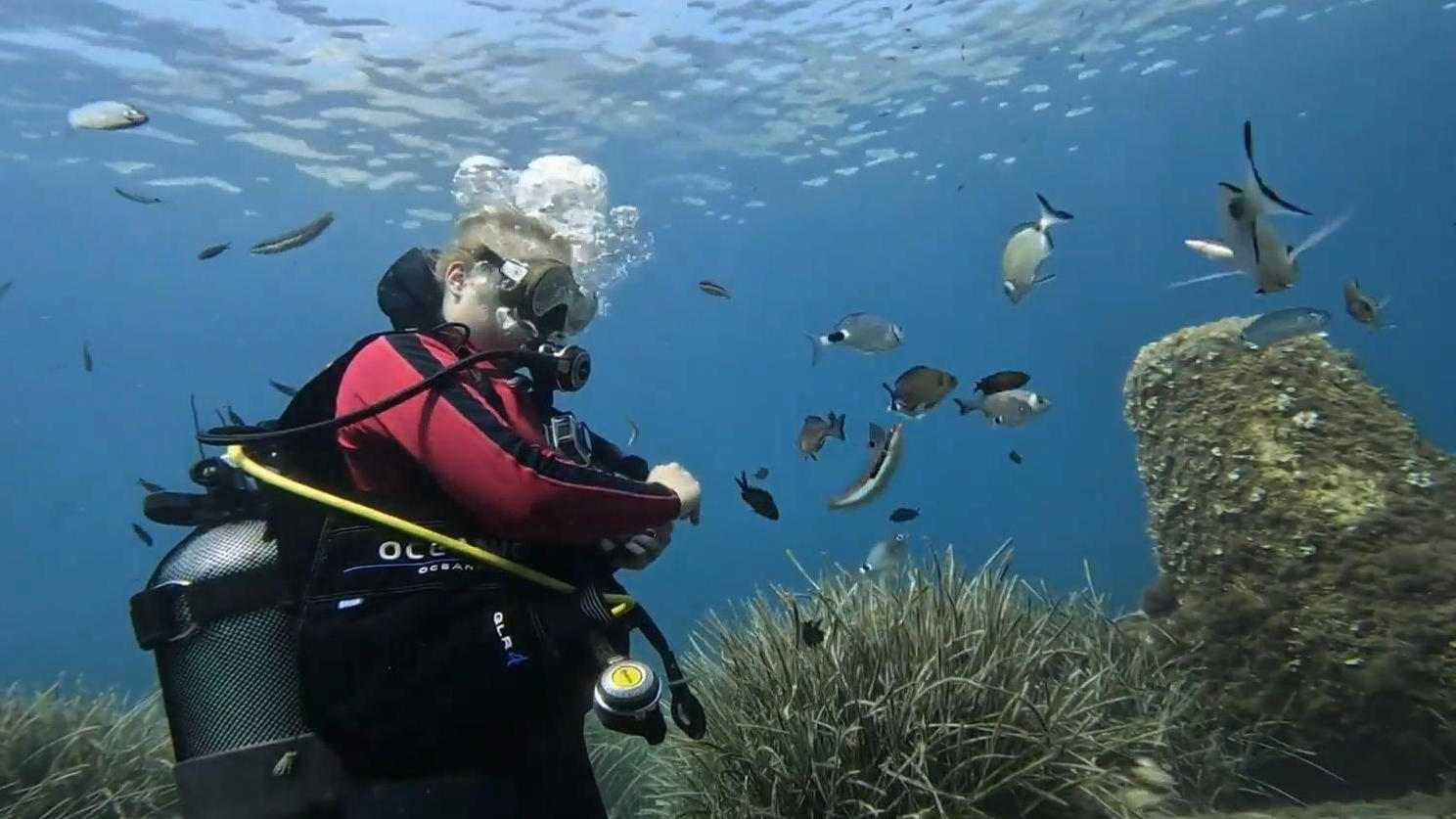 Wetter DWD - Niederlassung Hamburg Sasel heute ☀ Vorhersage 14 - 21 ...