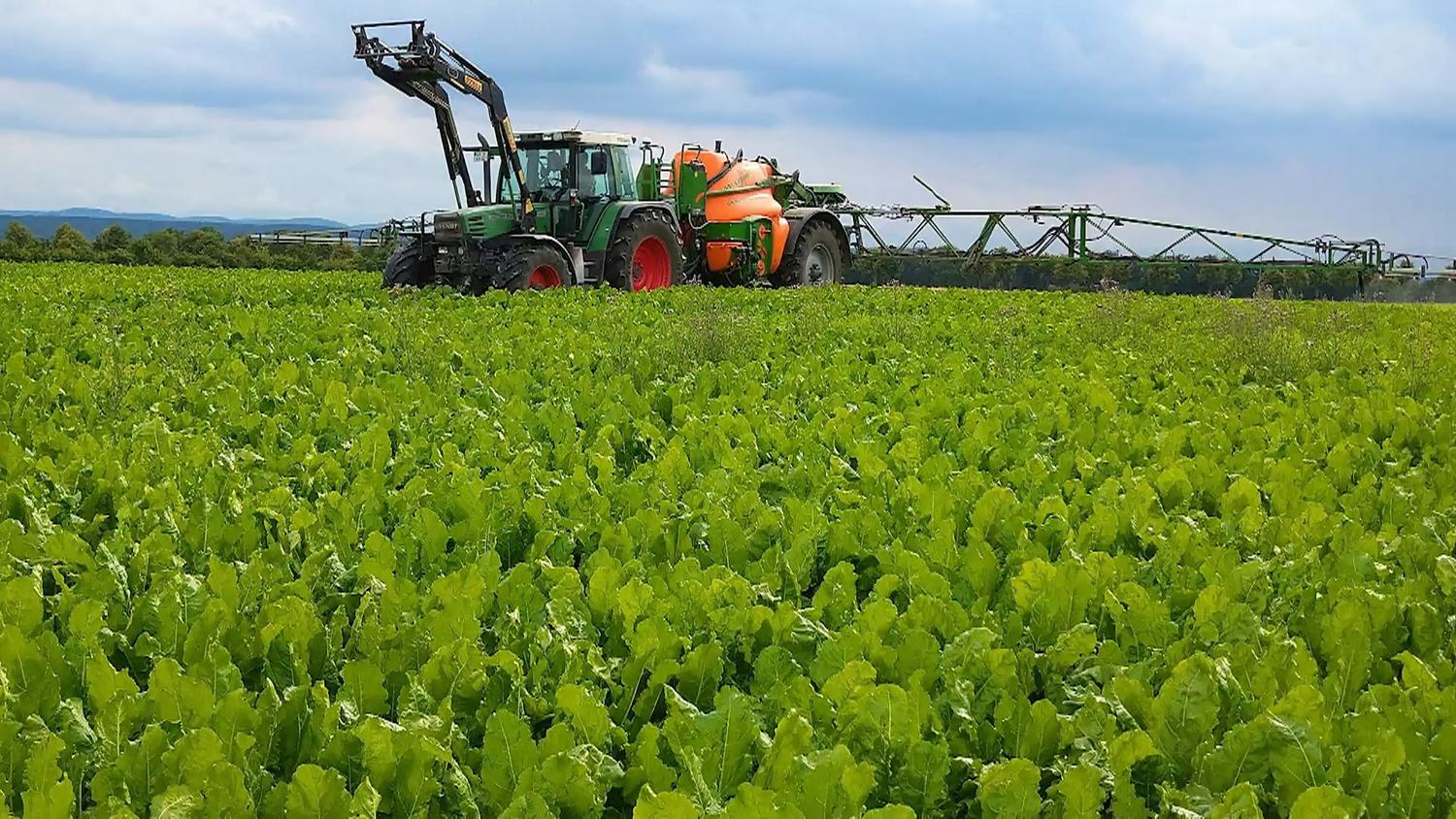 Winter 2024/2025 in Deutschland: Prognosen mit eisigem Dezember-Trend - kalt wie seit Jahren ...