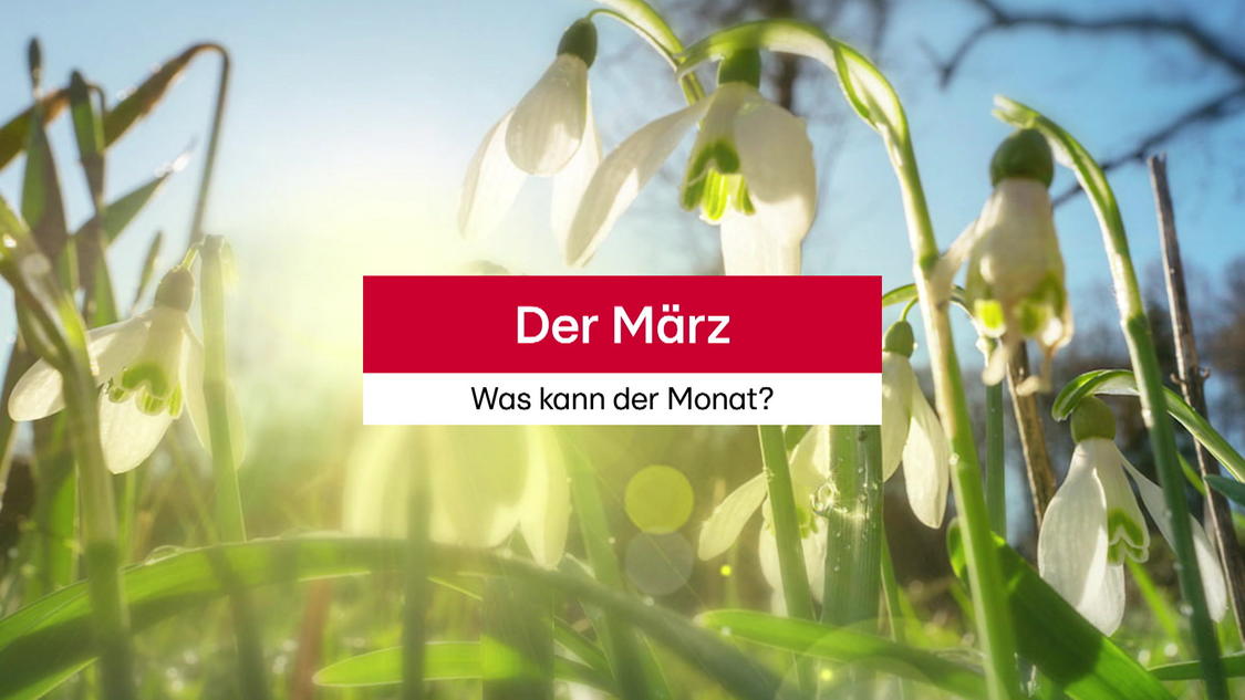 Klima Deutschland: Wie war das Wetter Monat für Monat im Jahr 2022? | wetter.de