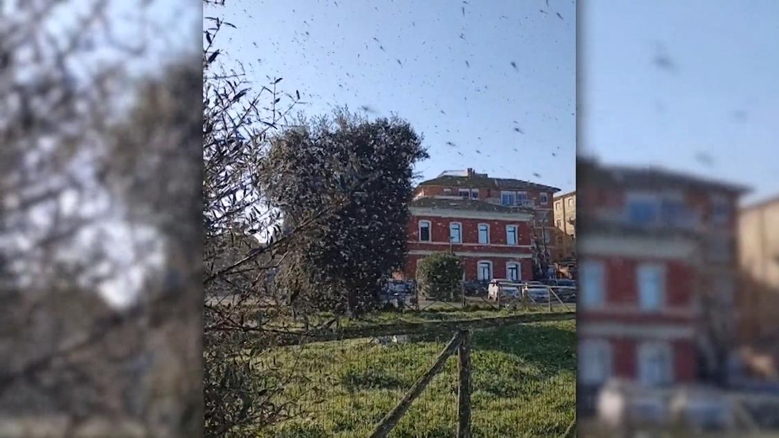 Klima Deutschland: Wie war das Wetter Monat für Monat im Jahr 2023? | wetter.de