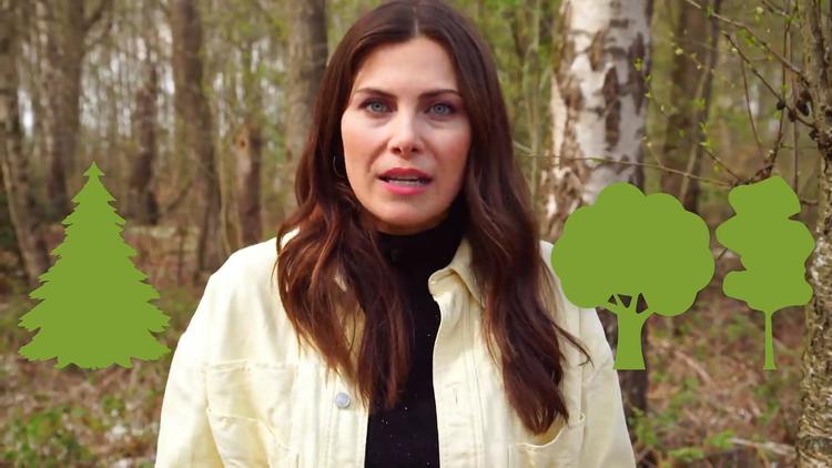 Wetter im Frühling 2025: Wann kommen Sonnenschein und Frühlingswärme nach Deutschland? | wetter.de