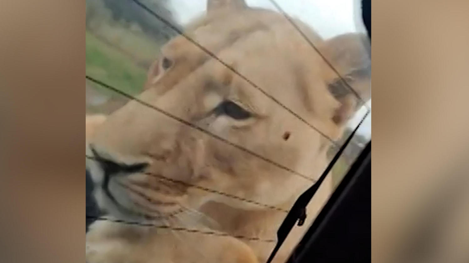 Wetter im Frühling 2025: Wann kommen Sonnenschein und Frühlingswärme nach Deutschland? | wetter.de