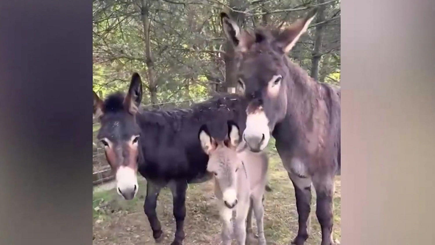 Winter 2024/2025 in Deutschland: Prognosen mit eisigem Dezember-Trend - kalt wie seit Jahren ...