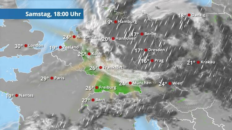 Kartoffeln richtig ernten und lagern: Wann ist der beste Zeitpunkt und worauf sollte man achten ...