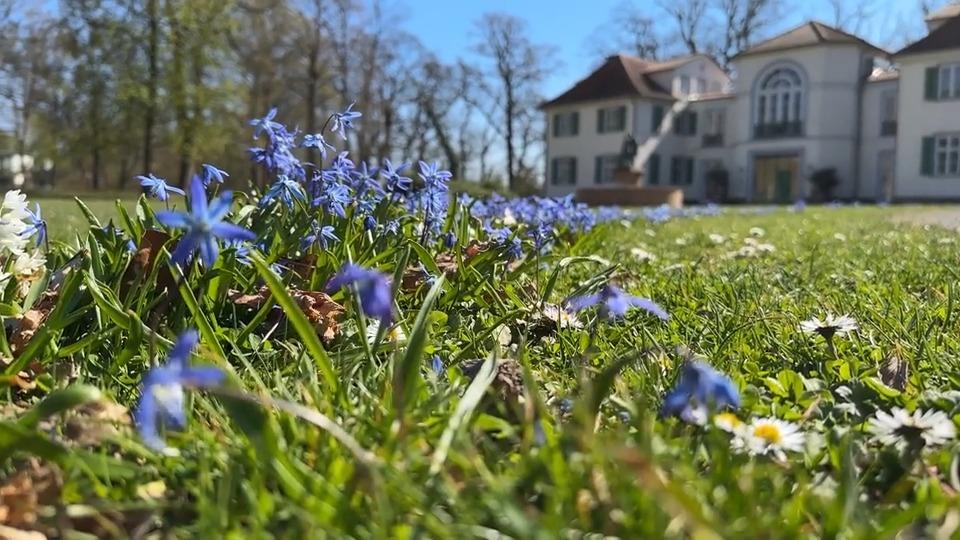 Wetter Calw 14 Tage